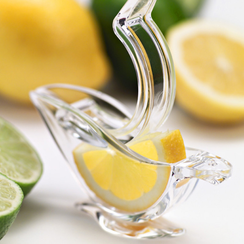 Presse-Citron "Press Art" (La boite de 2) - LA BOUTIQUE