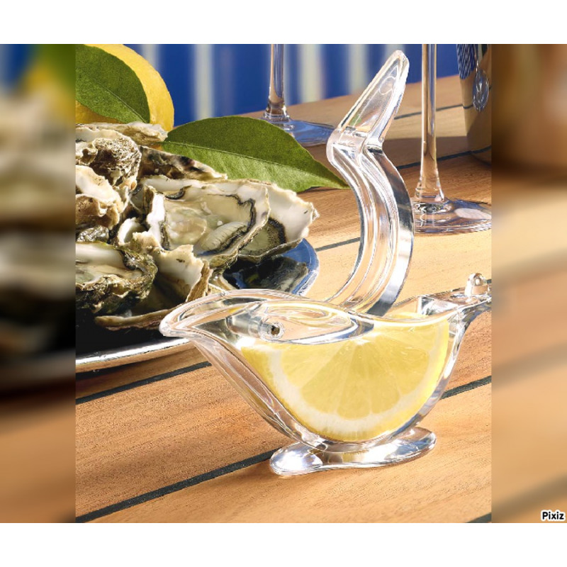 Presse-Citron "Press art" (La boite de 2) - LA BOUTIQUE